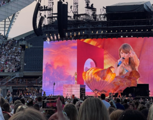 Reputation Eras Tour Outfits • Sophisticaition